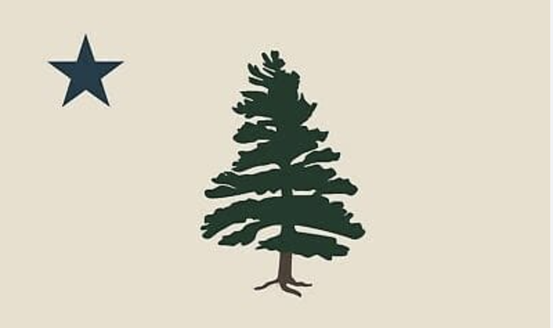 Matthews: Will Mainers Let the Media Tar The 1901 Pine Tree Flag? - The Maine Wire